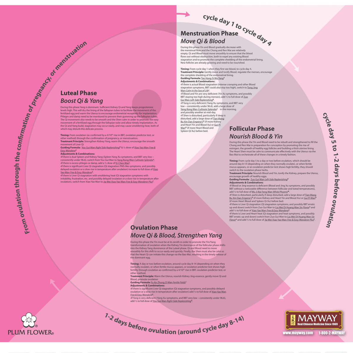 Four Phase TCM Fertility Poster – Mayway Herbs