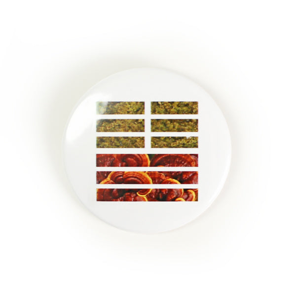 Button I-Ching Tai – Mayway Herbs